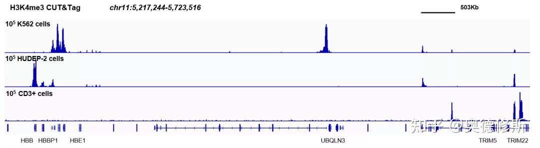 CUT&Tag3.0——让Chip-seq再简单一点！ - 知乎