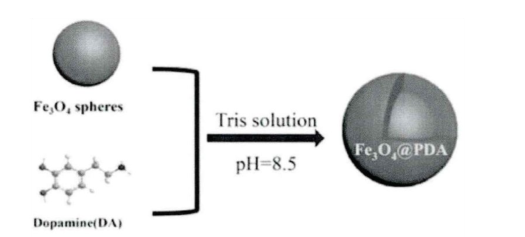 APTS包覆的四氧化三铁纳米球，M-SiO2@Fe3O4，具有超顺磁磁性M-SiO2@Fe3O4 - 知乎