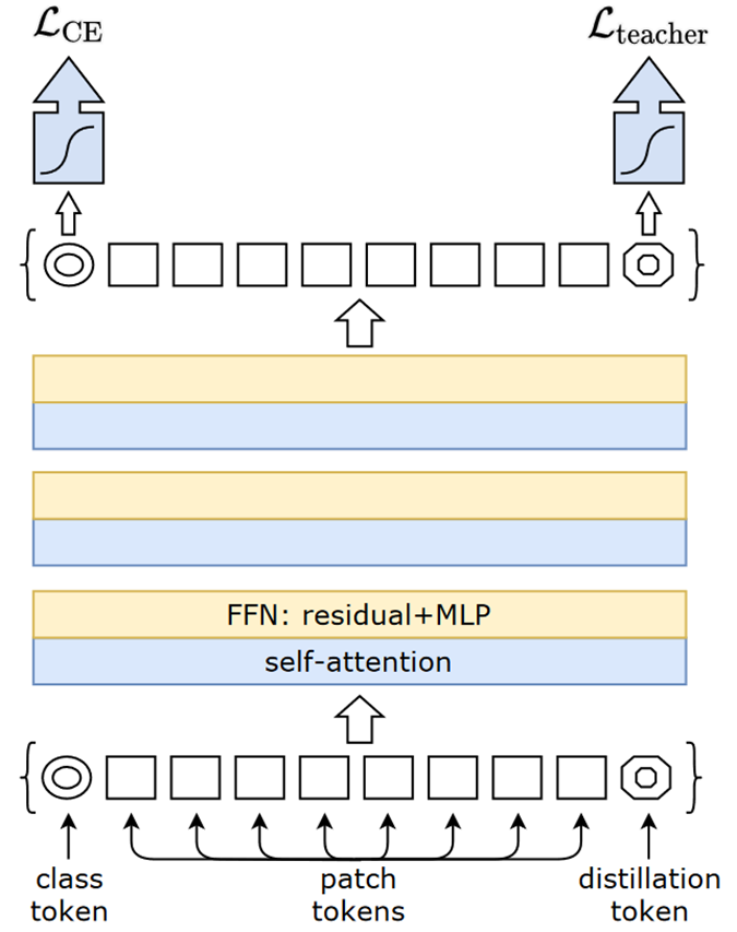Knowledge Distillation知识蒸馏顶会论文摘录6篇 - 知乎