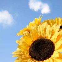 latex2exp：R基础绘图和ggplot2中使用LaTeX公式 - 知乎