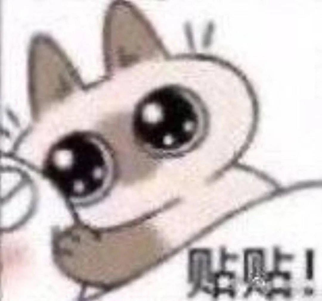 暹罗猫小豆泥表情包整理（侵删） 知乎