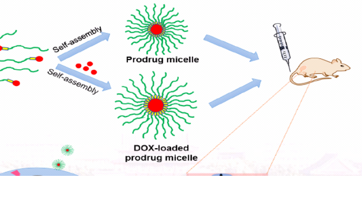 mPEG-TK-PCL-FITC/RB/CY/ICG 甲氧基聚乙二醇-酮缩硫醇-聚已内酯-荧光标记 - 知乎