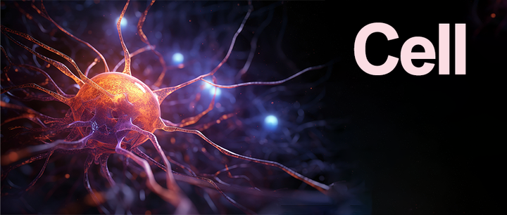 Cell | 苏州大学周芳芳：AARS1介导p53乳酸化促进肿瘤发生新机制 - 知乎