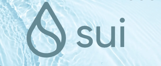 100倍潜力项目Sui即将起航——2、Sui的工作原理！ - 知乎