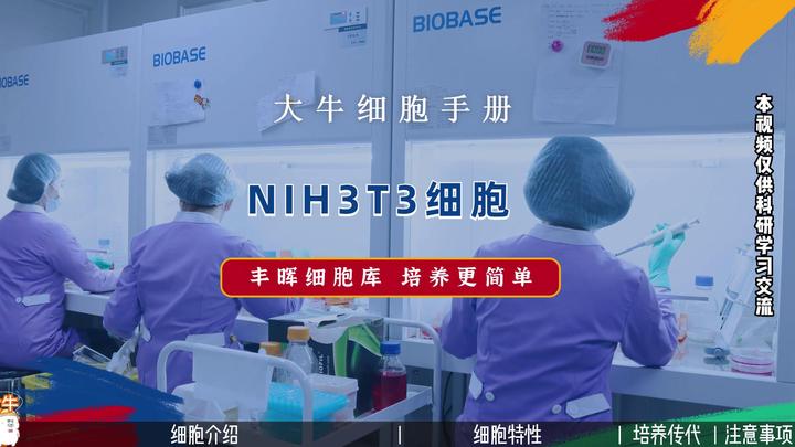 NIH3T3细胞培养，小鼠胚胎成纤维细胞培养攻略 - 丰晖生物 - 知乎