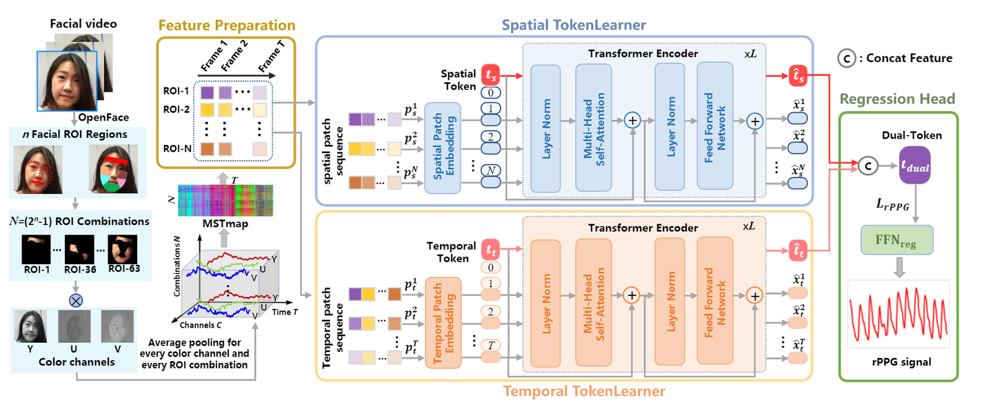 【rPPG论文阅读】Dual-path TokenLearner for rPPG-based Physiological Measurement with Facial Videos - 知乎