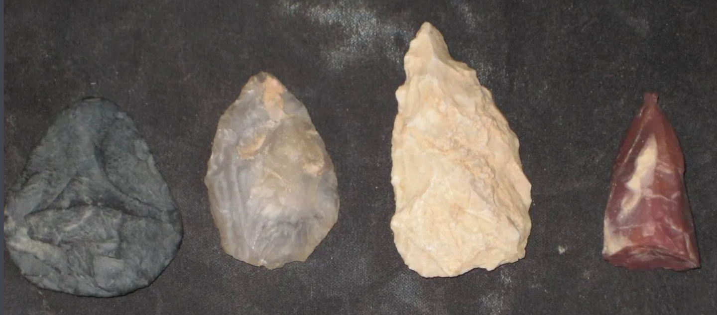 精读《新概念英语-4》第1课：Finding fossil man 寻找化石人 | 人类学。 - 知乎