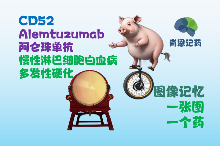 记住所有FDA生物药 | 靶向CD52 | Alemtuzumab 阿仑珠单抗 | 慢性淋巴细胞白血病、多发性硬化 - 知乎