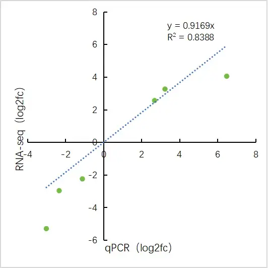 干货 | RNA-seq与qPCR，你不得不知道的那些事！！！ - 知乎