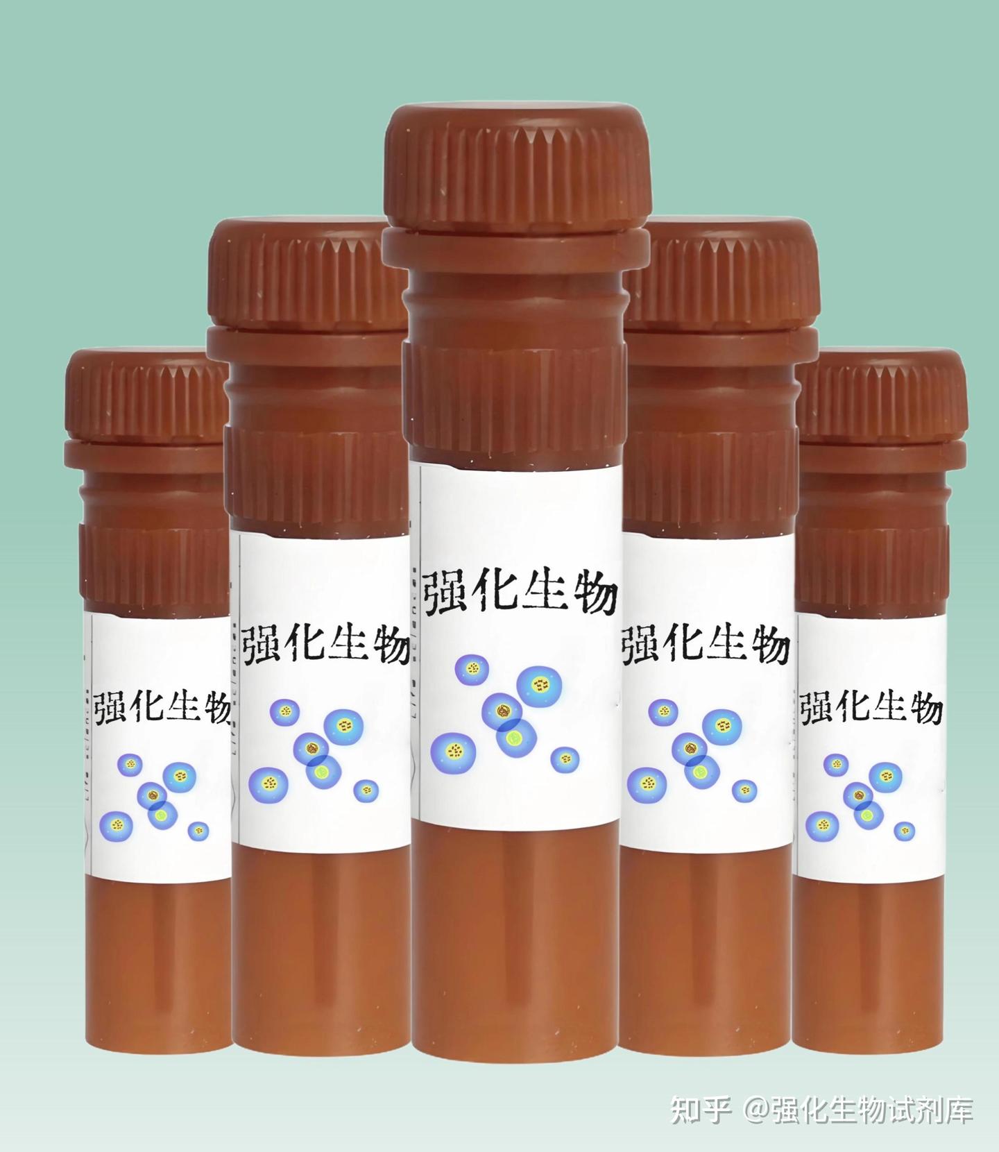 Cal-520 AM，Cell Permeant 钙离子荧光探针，作用机制 - 知乎