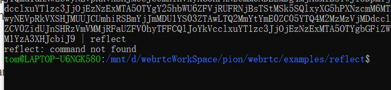 WebRTC学习笔记七 pion/webrtc - 知乎