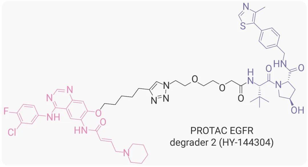 靶向 EGFR 的 PROTAC 分子有哪些？ - 知乎