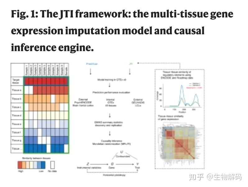 每日文摘 | 2020年10月10日 - 知乎