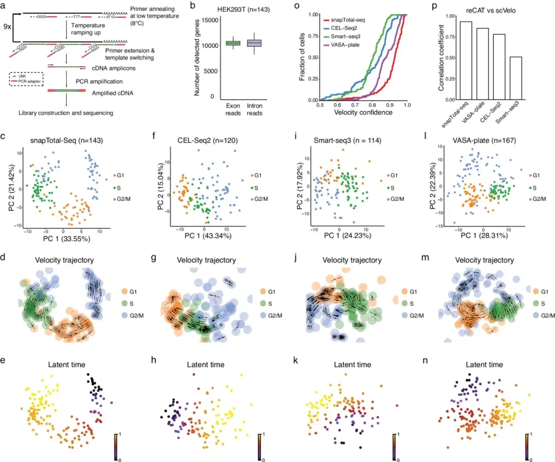 snapTotal-seq：单细胞Total RNA-seq分析揭示转录调控中心 - 知乎