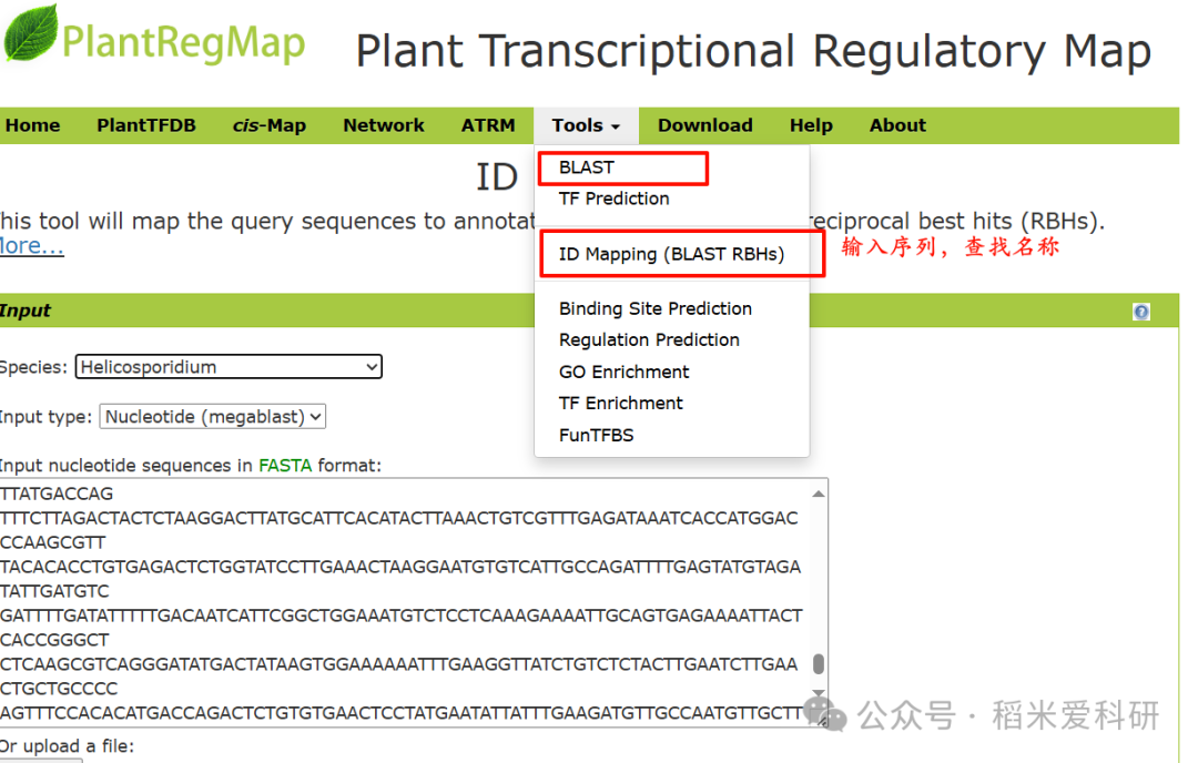 PlantRegMap-植物转录调控分析数据库 - 知乎