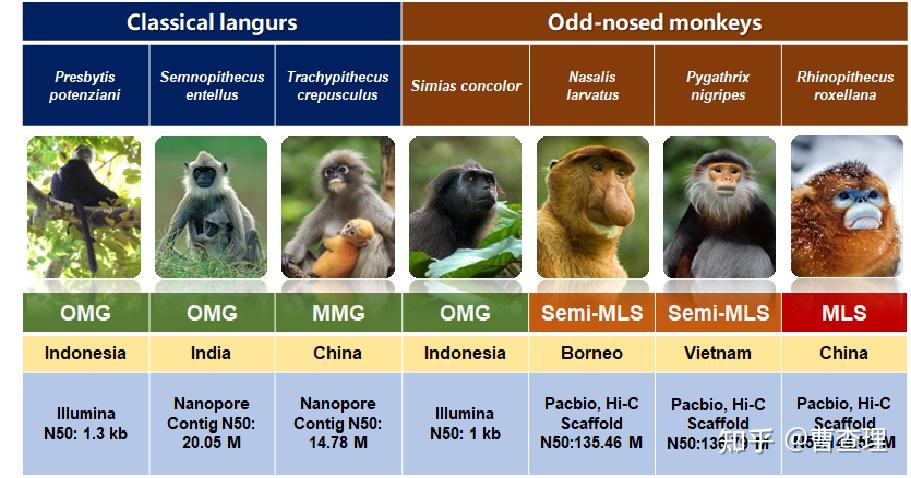 面对寒冷的团结与进化——Adaptations to a cold climate promoted social evolution in ...