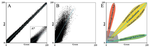 ImageJ实用技巧——荧光共定位分析(定量分析篇) - 知乎