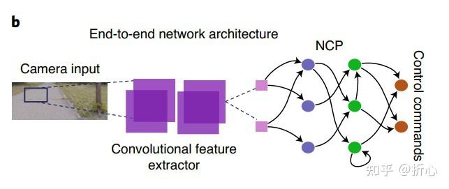 一些文章: Neural circuit policies enabling auditable autonomy - 知乎