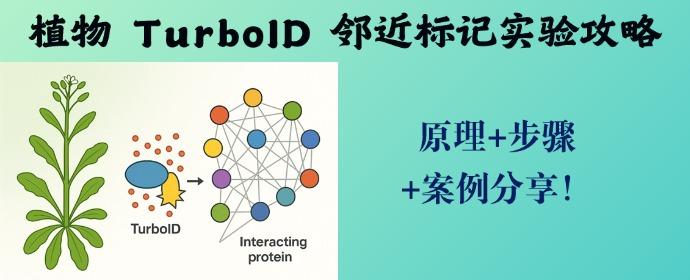 植物 TurboID 邻近标记实验攻略：原理+实验步骤+案例分享！ - 知乎