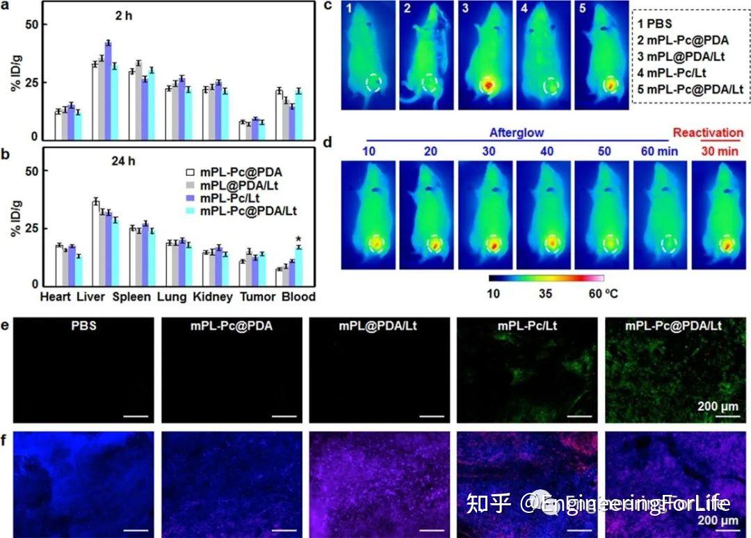 《CEJ》：双动力驱动Janus纳米马达用于癌症治疗 - 知乎