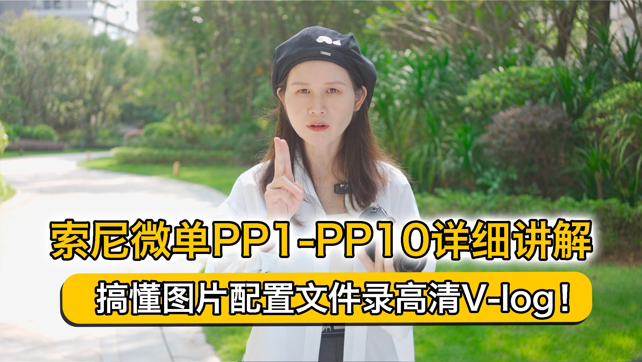 索尼微单PP1-PP10详细讲解，搞懂图片配置文件录高清V-log！ - 知乎