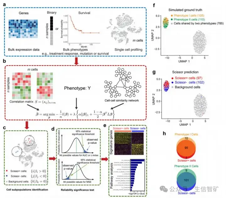 单细胞转录组代谢通路scMetabolism和表型分析Scissor - 知乎