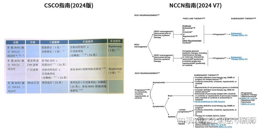 非小细胞肺癌（NSCLC）9大驱动基因：CSCO vs NCCN 治疗指南策略对比分析！附上市及医保报销条件 - 知乎