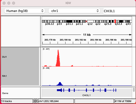 深入解析IGV基因组浏览器：igvtools快速 - 知乎