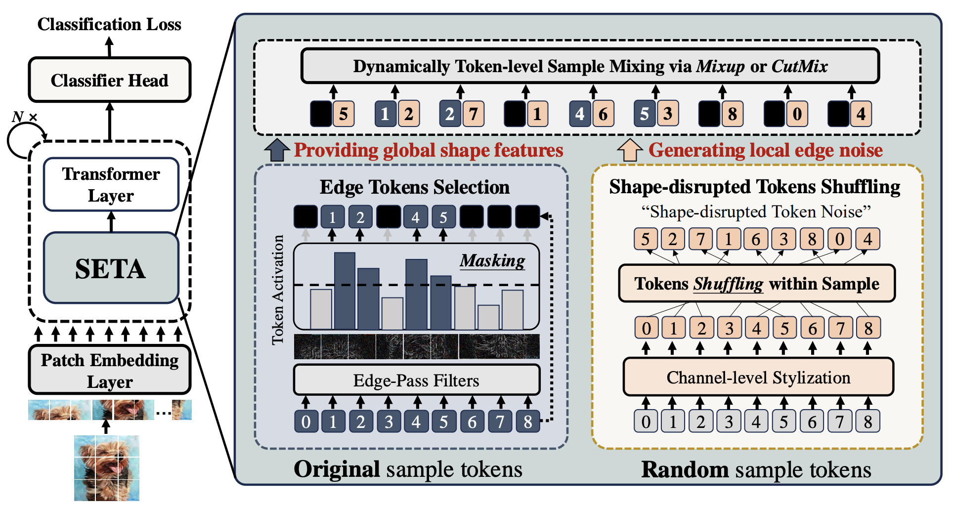 IEEE TIP 2024｜SETA: 形状感知令牌转换，提升模型跨域泛化能力 - 知乎