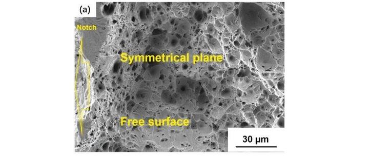 GTN模型文章推荐（二十） - 知乎