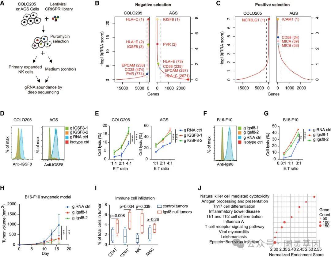 Cell | 肿瘤免疫逃逸新机制：IGSF8与NK受体 - 知乎