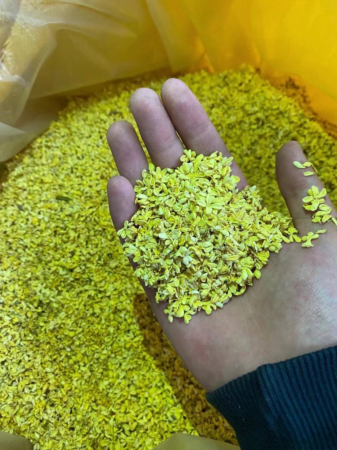 桂花干的正确用法！！老妈的宝藏配方教我煮的桂花润肺养生茶💥 - 知乎