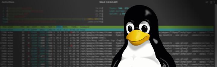 服务器一键测试脚本 SuperBench 修复，支持CentOS 8 - 知乎