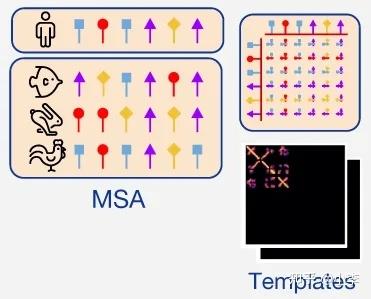 一文图解AF3原理 - 知乎