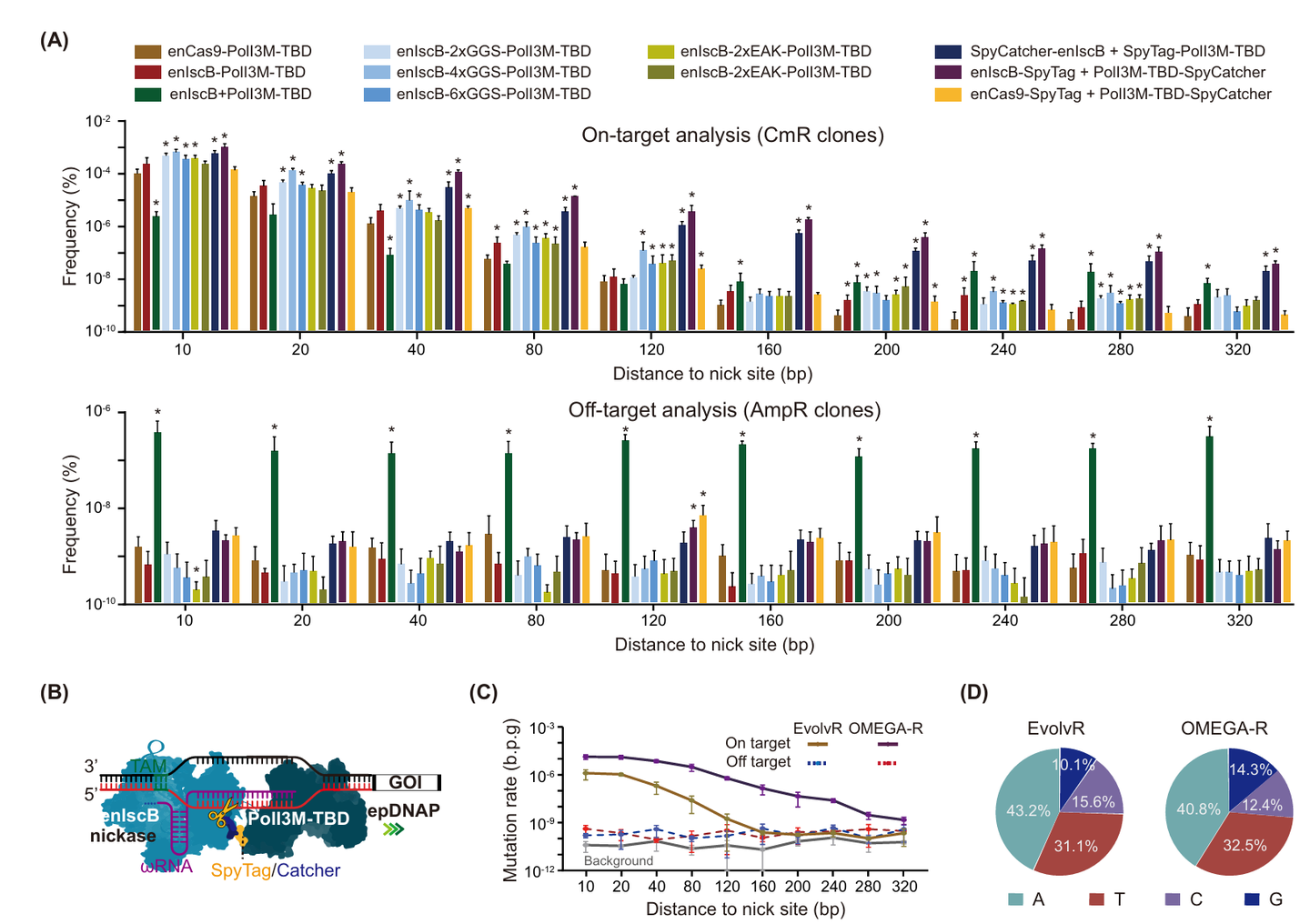 态创江翱等开发基于IscB切口酶的随机突变器 - 知乎