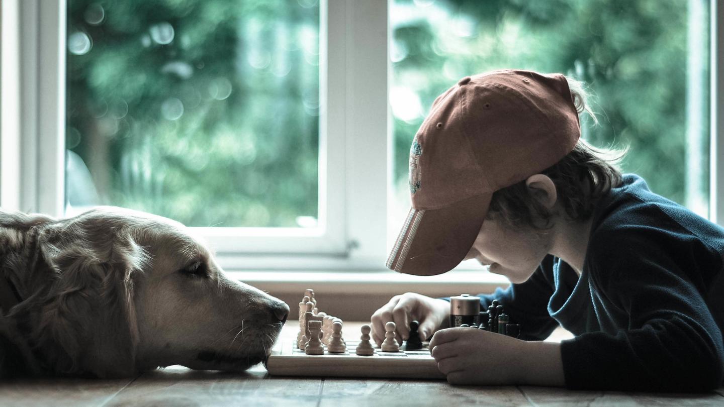 《InsideUE4》GamePlay架构（四）Pawn - 知乎