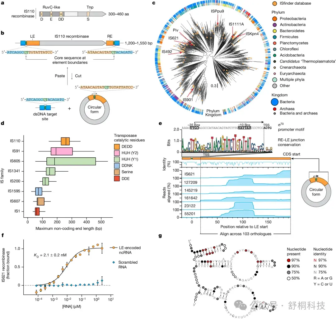 连发两篇Nature！ Bridge RNA：新一代基因组编辑工具 - 知乎