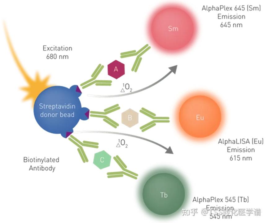 带你了解Alpha Screen技术 - 知乎