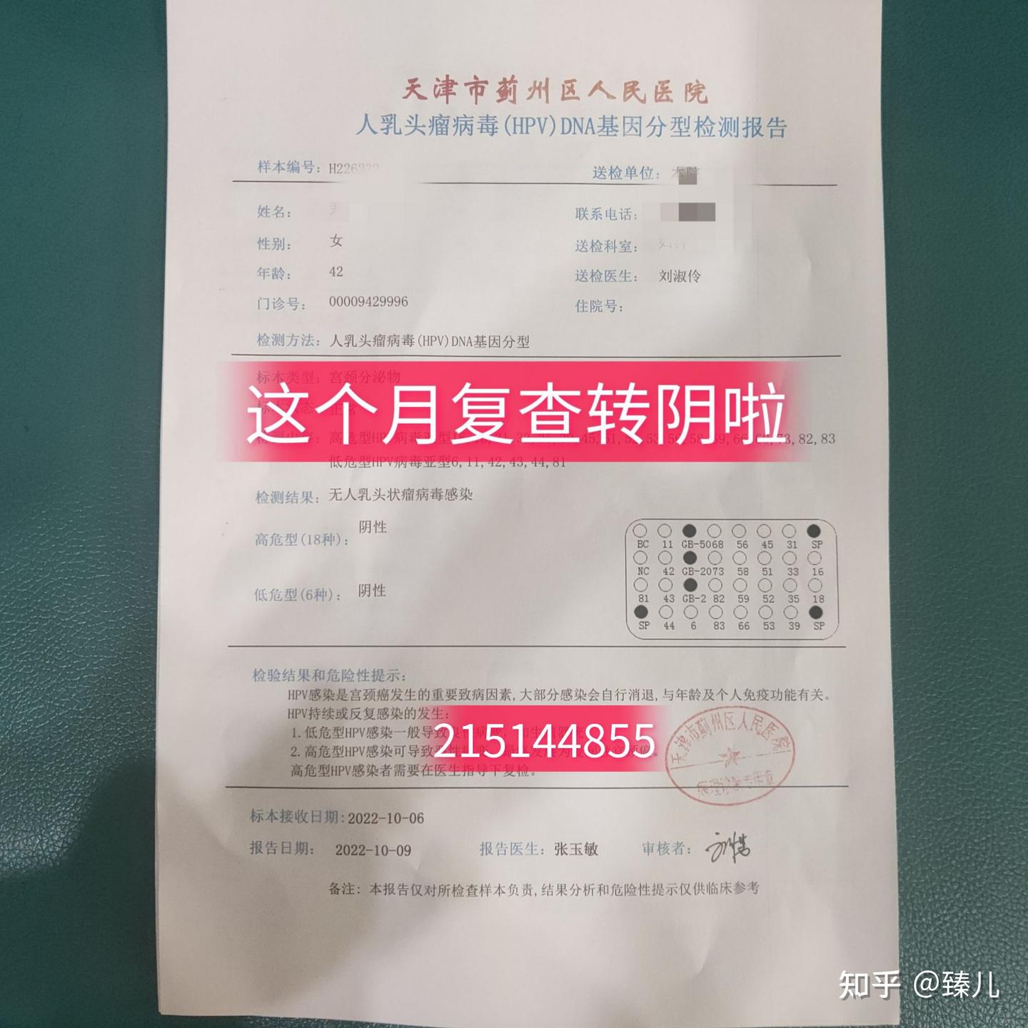 hpv81转阴了 - 知乎