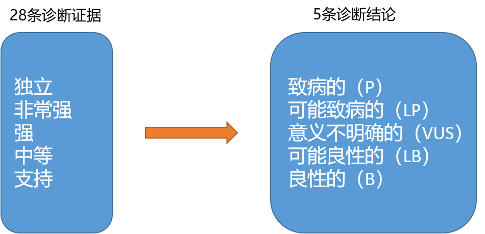 ACMG 评级指南与临床指导 - 知乎