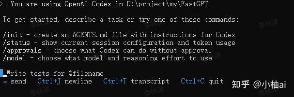2026 最新 OpenAI Codex CLI 安装配置教程：Windows / Mac / Linux / VSCode 一篇搞定 - 知乎