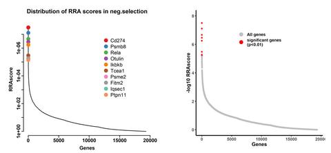 crispr screen - 知乎