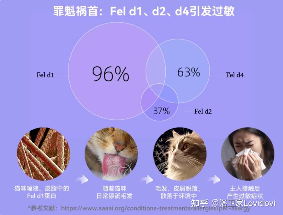 其实你早就猫毛过敏了，只是忽略了这些症状！ - 知乎