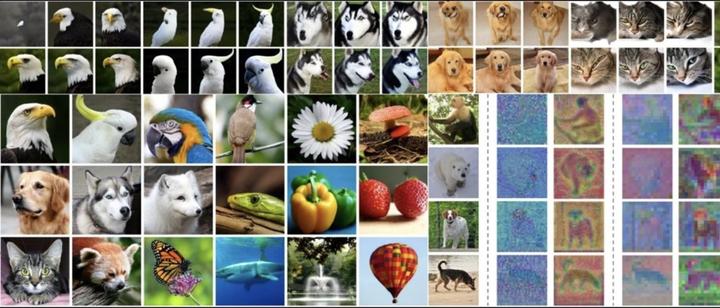 45倍加速+最新SOTA！VAE与扩散模型迎来端到端联合训练：REPA-E让VAE自我进化！ - 知乎