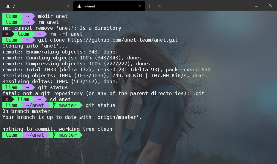 Win10 Terminal + WSL 2 安装配置指南，精致开发体验 - 知乎