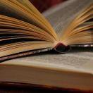 Python教程14：Python内置函数bool简介 - 知乎