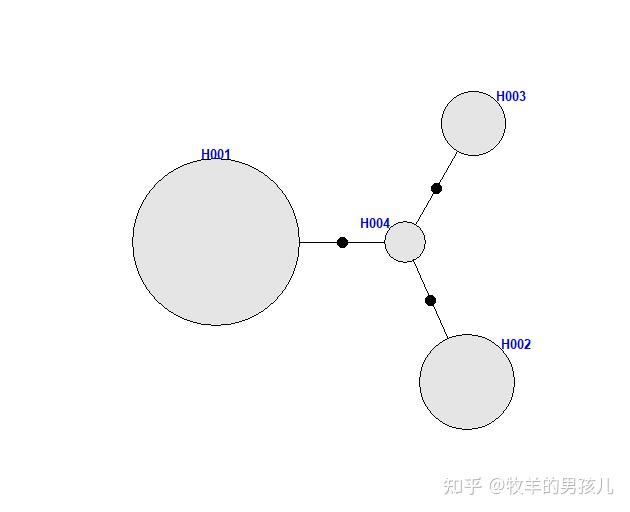 R语言中的geneHapR包做单倍型/单倍型网络分析（1） - 知乎