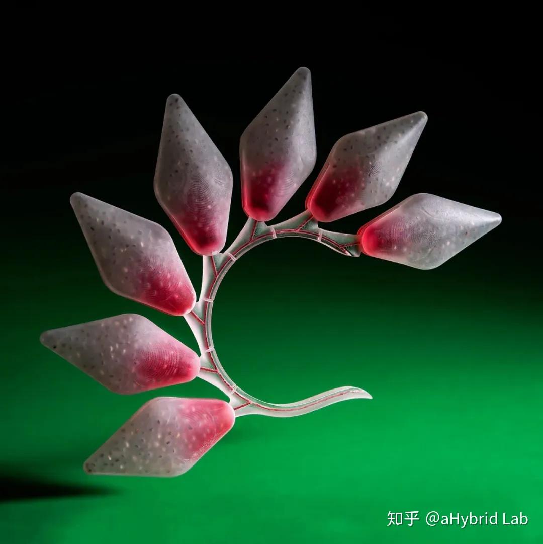 案例分享：Neo Fruit丨Speculative Design - 知乎