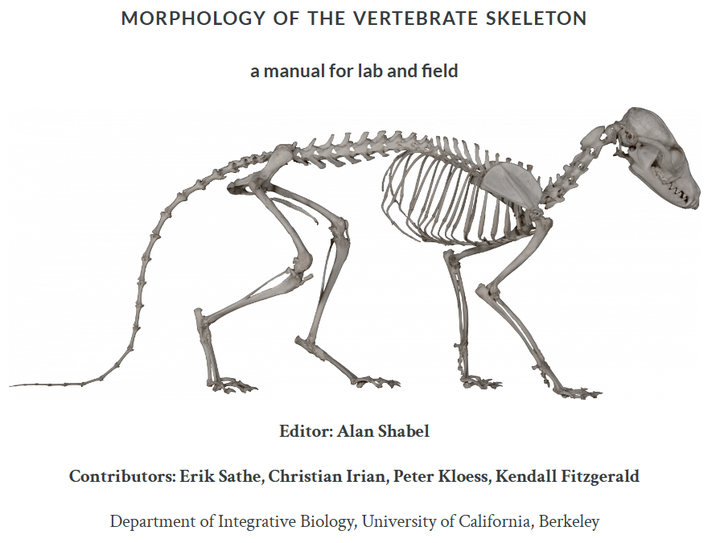 Morphology of the Vertebrate Skeleton - 知乎