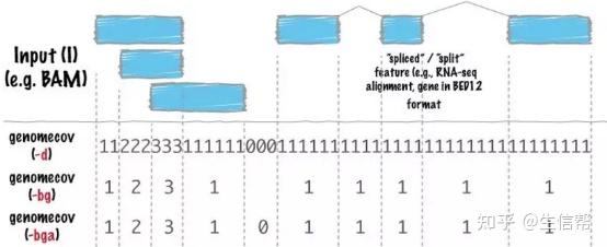常用的生信数据处理工具bedtools详解 - 知乎